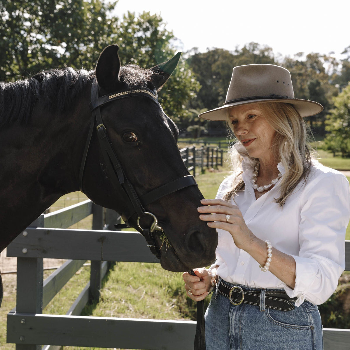 Classic Collection – Ikecho Australia